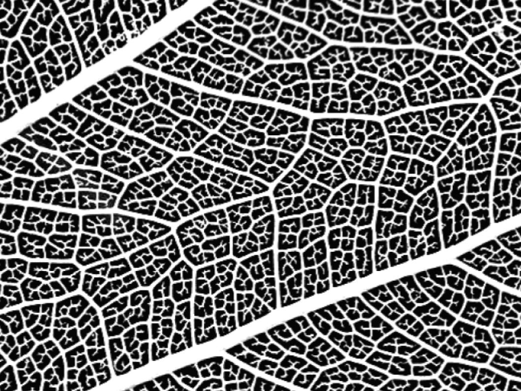 Sustainability - Exeger